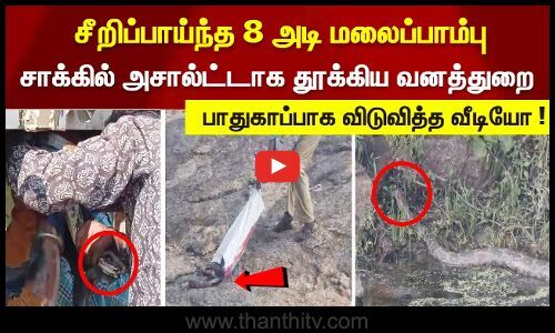 சீறிப்பாய்ந்த 8 அடி மலைப்பாம்பு! சாக்கில் அசால்ட்டாக தூக்கிய வனத்துறை ...