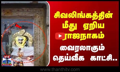 Theni Sivan Temple | Divine Scene Goes Viral – King Cobra Climbs Over ...