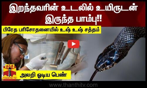 இறந்தவரின் தொடையில் உயிருடன் இருந்த பாம்பு - பிரேத பரிசோதனையில் உஷ் ...