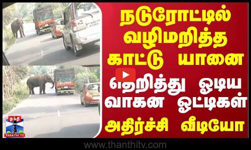 நடுரோட்டில் வழிமறித்த காட்டு யானை.. தெறித்து ஓடிய வாகன ஓட்டிகள் - அதிர்ச்சி வீடியோ | erode ...