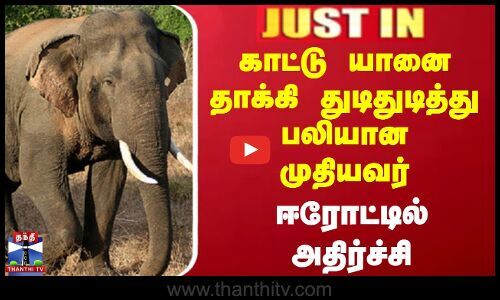 Elderly man dies after being attacked by wild elephant.. Shock in Erode|| காட்டு யானை தாக்கி ...